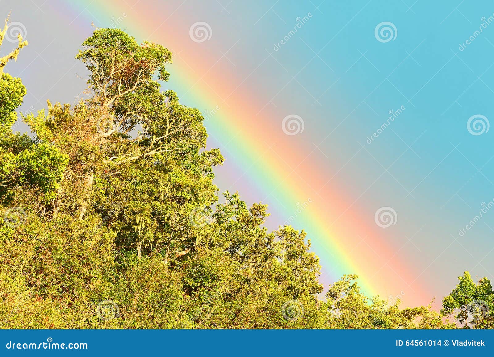 Rainbow Over African Rainforest. Stock Photo - Image of firewood ...