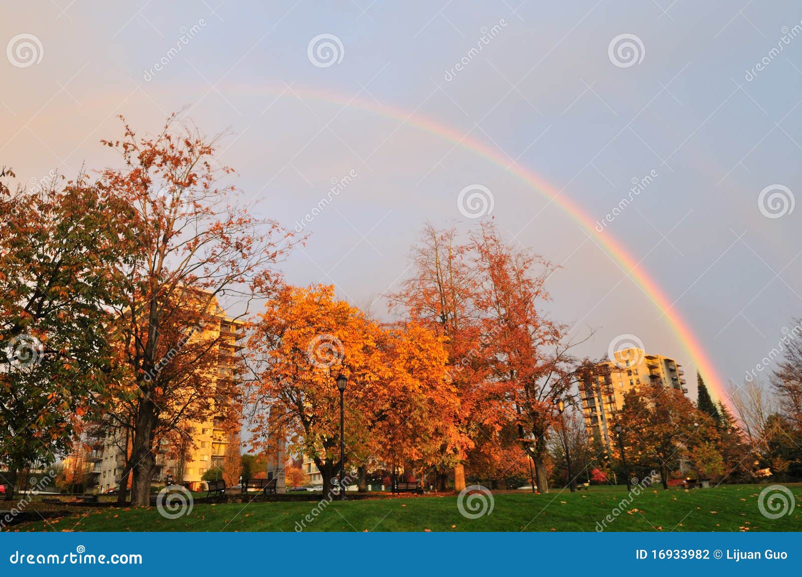 Rainbow Over Autumn Color Tree and Buildings Stock Photo - Image of ...