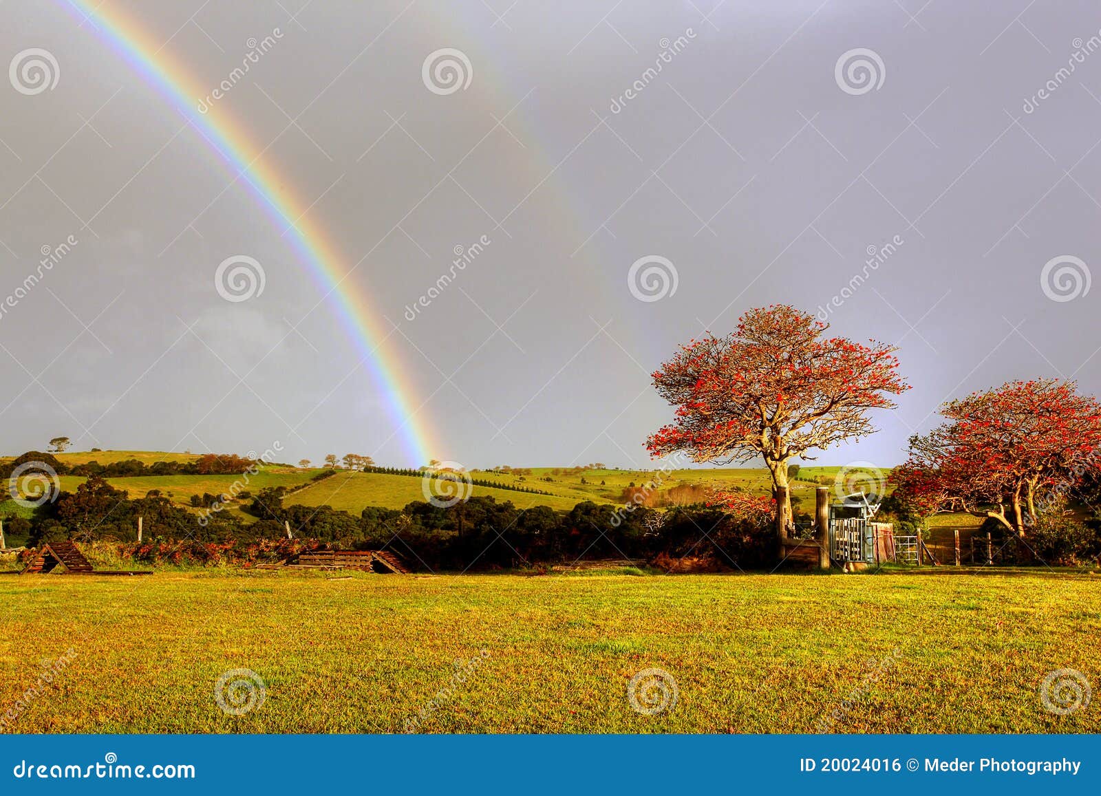 Rainbow over a farm stock photo. Image of grass, outdoors - 20024016