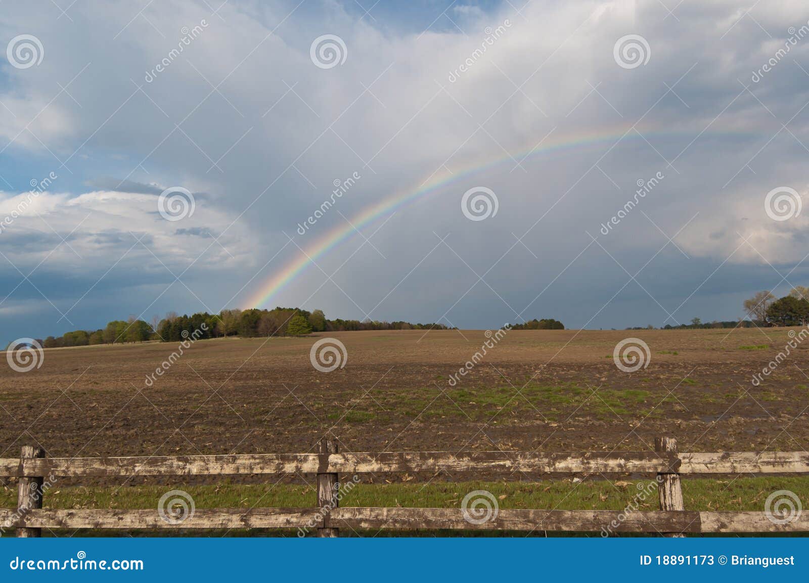 Rainbow over a Farm Field stock image. Image of nobody - 18891173