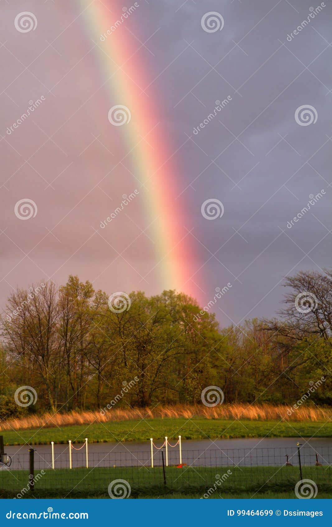 Rainbow over Farm Pond stock image. Image of spring, happiness - 99464699