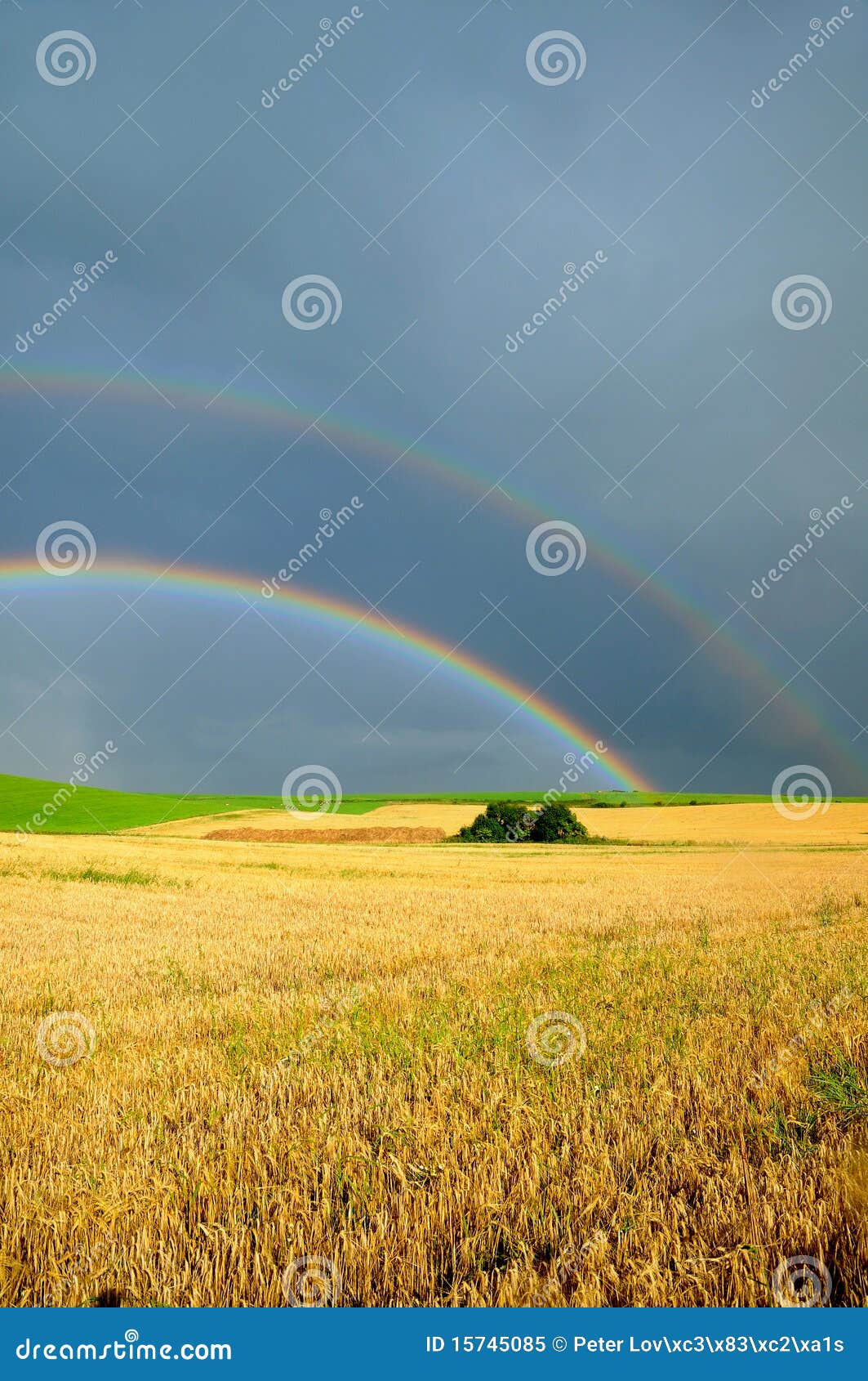 Rainbow over the field stock image. Image of daylight - 15745085
