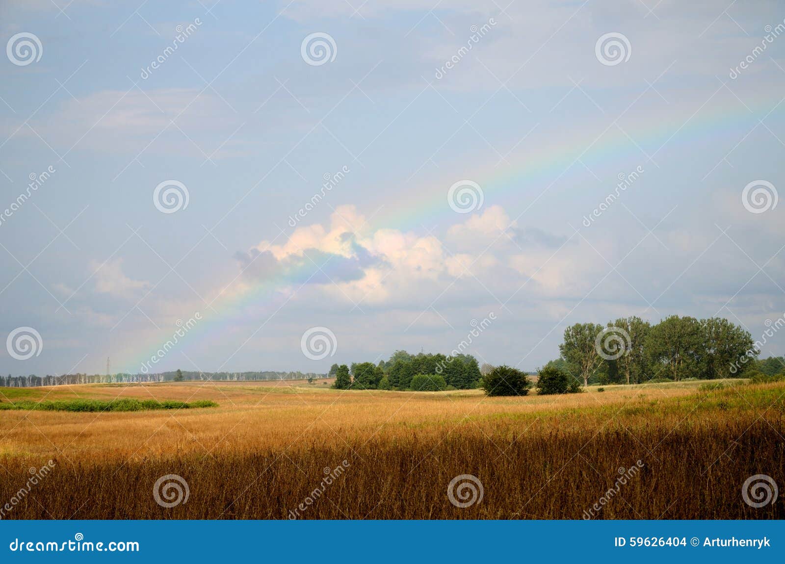 Rainbow over the field stock photo. Image of trees, countryside - 59626404