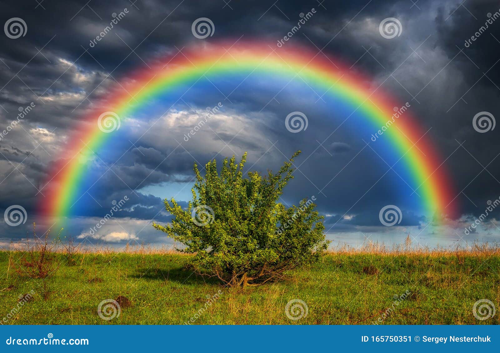 Rainbow over the field stock image. Image of landscape - 165750351