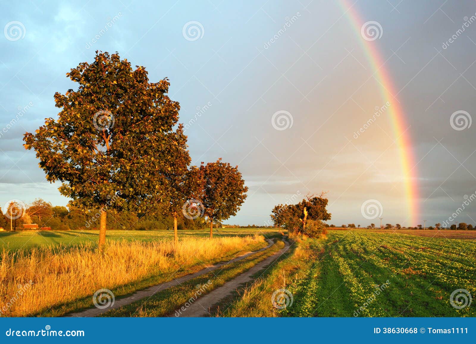 Rainbow over field stock photo. Image of horizon, grass - 38630668