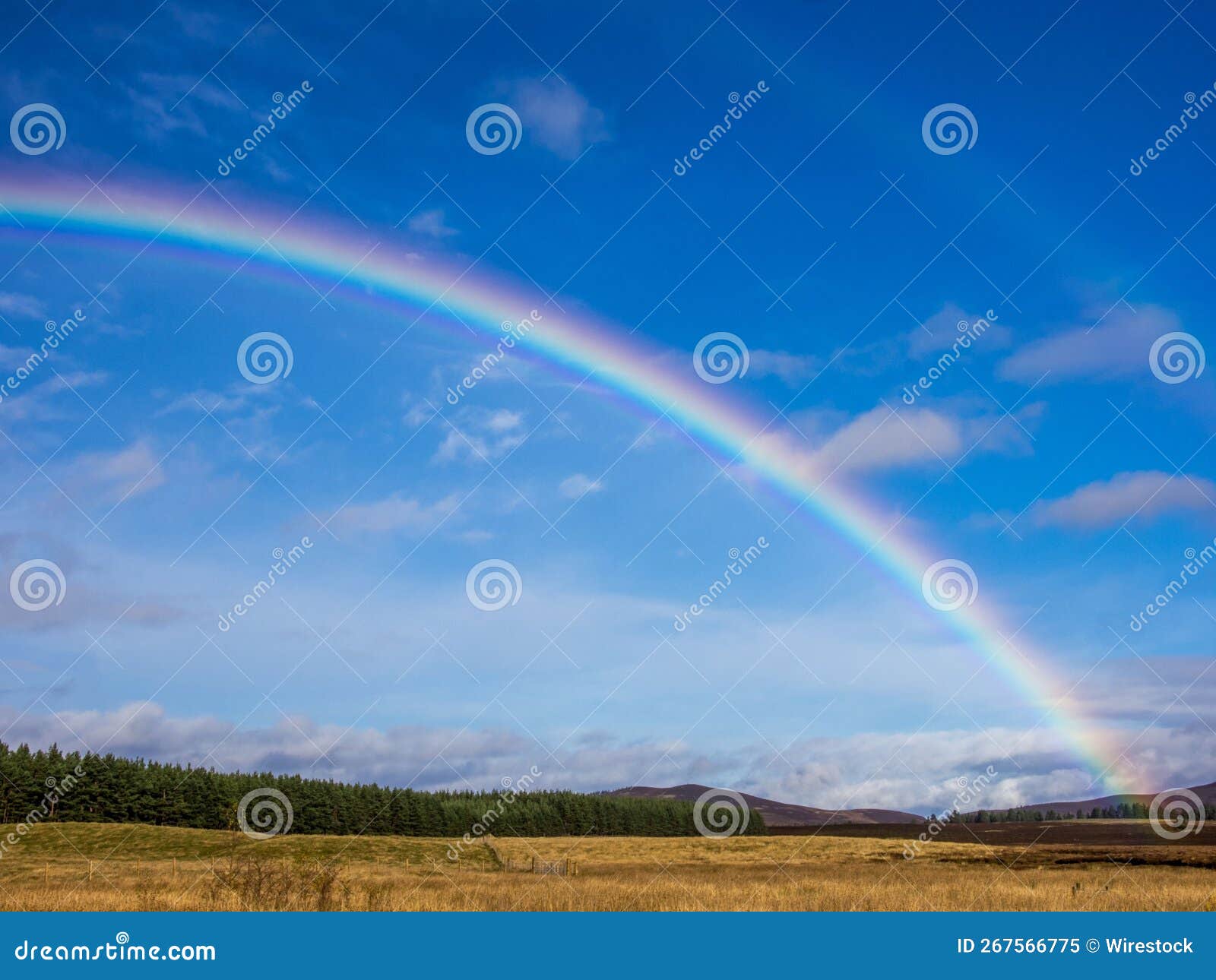 Rainbow Over the Field in Spring Stock Image - Image of colours, plants ...