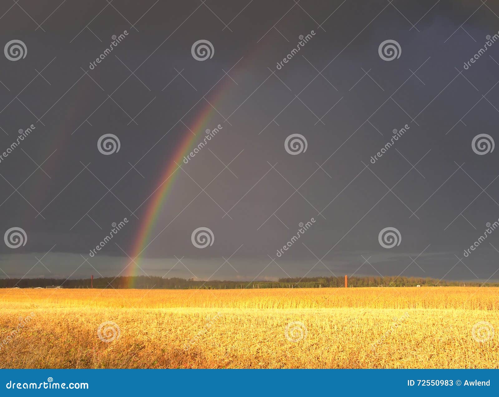 Rainbow over the field stock image. Image of rural, spectrum - 72550983