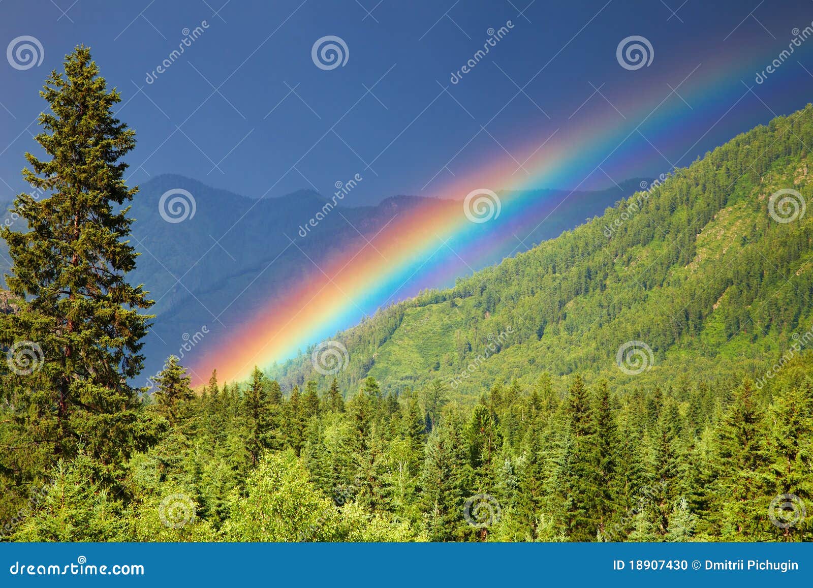 Rainbow over forest stock photo. Image of rainbow, cloudy - 18907430