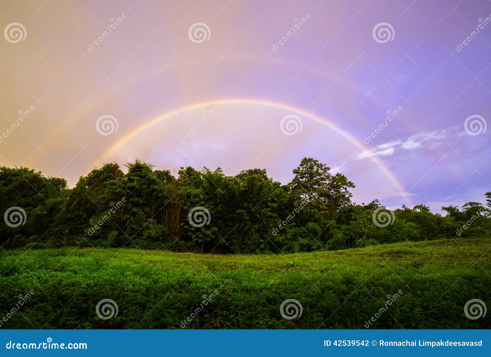 Rainbow Over Forest stock photo. Image of foliage, cloud - 42539542