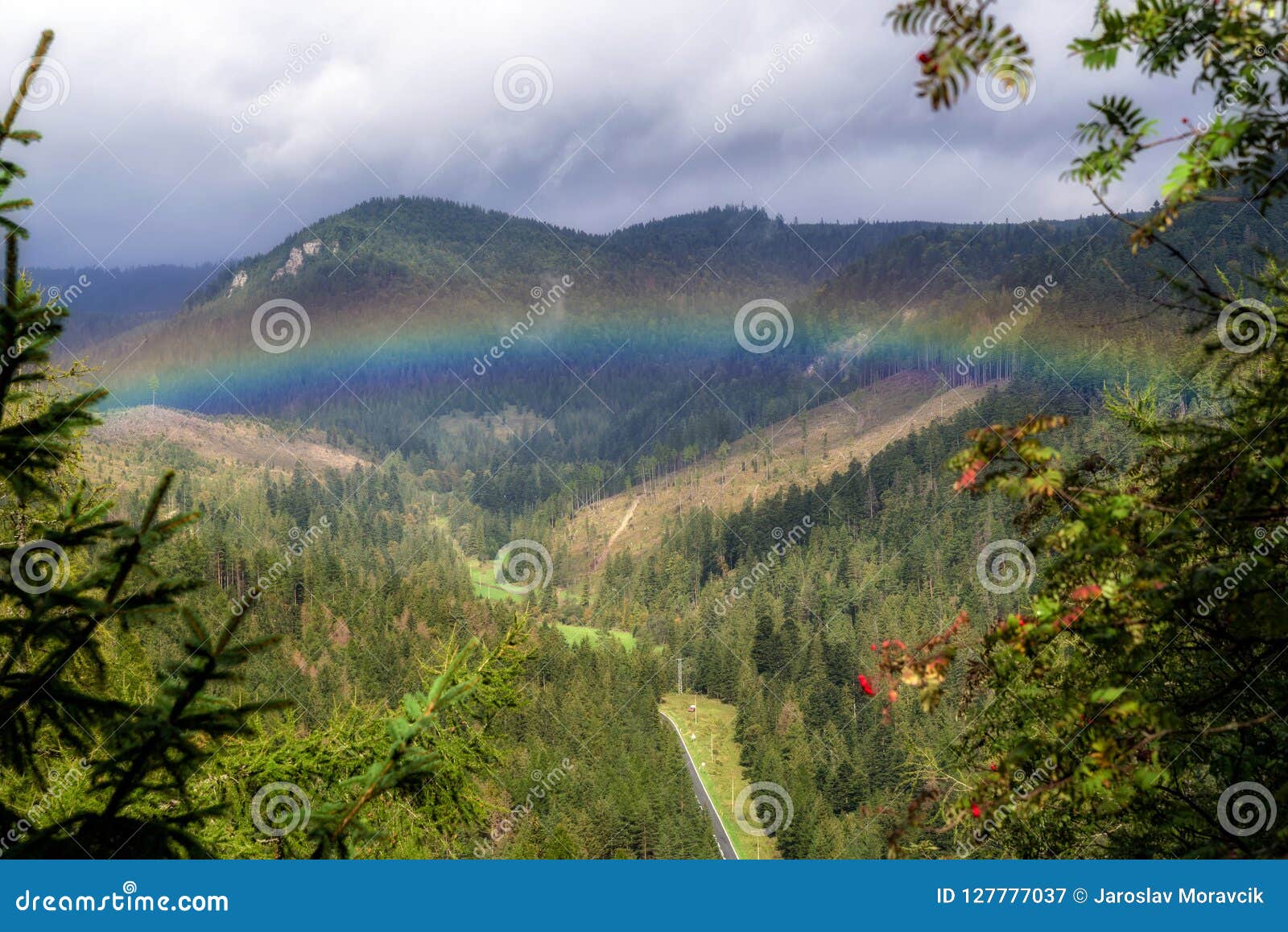 Rainbow over the forest stock image. Image of rainbow - 127777037