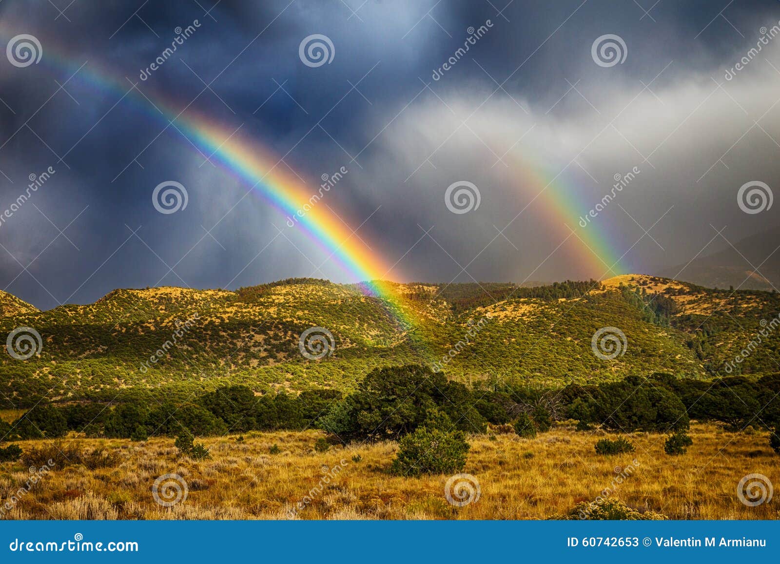 Rainbow over forest stock image. Image of weather, overcast - 60742653