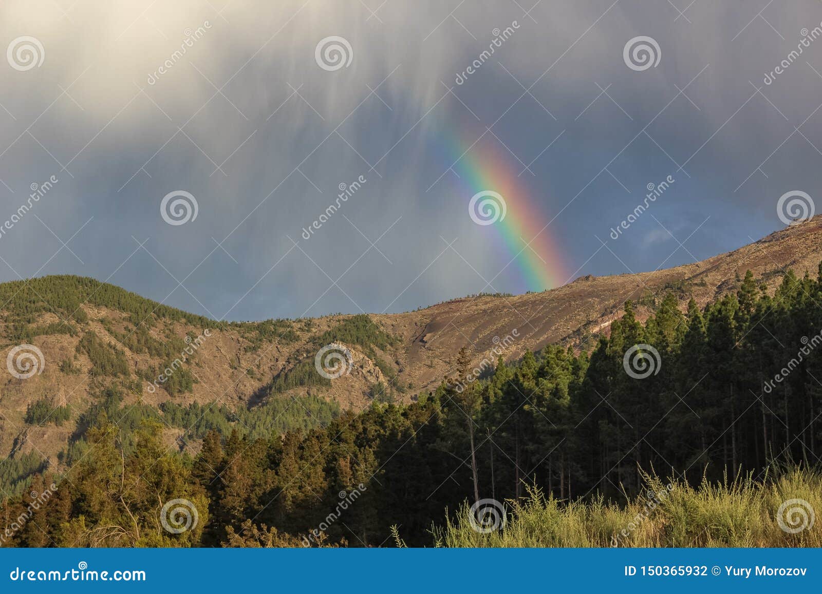 Rainbow Over the Forest, the Phenomenon of Nature, Rocks and Trees ...