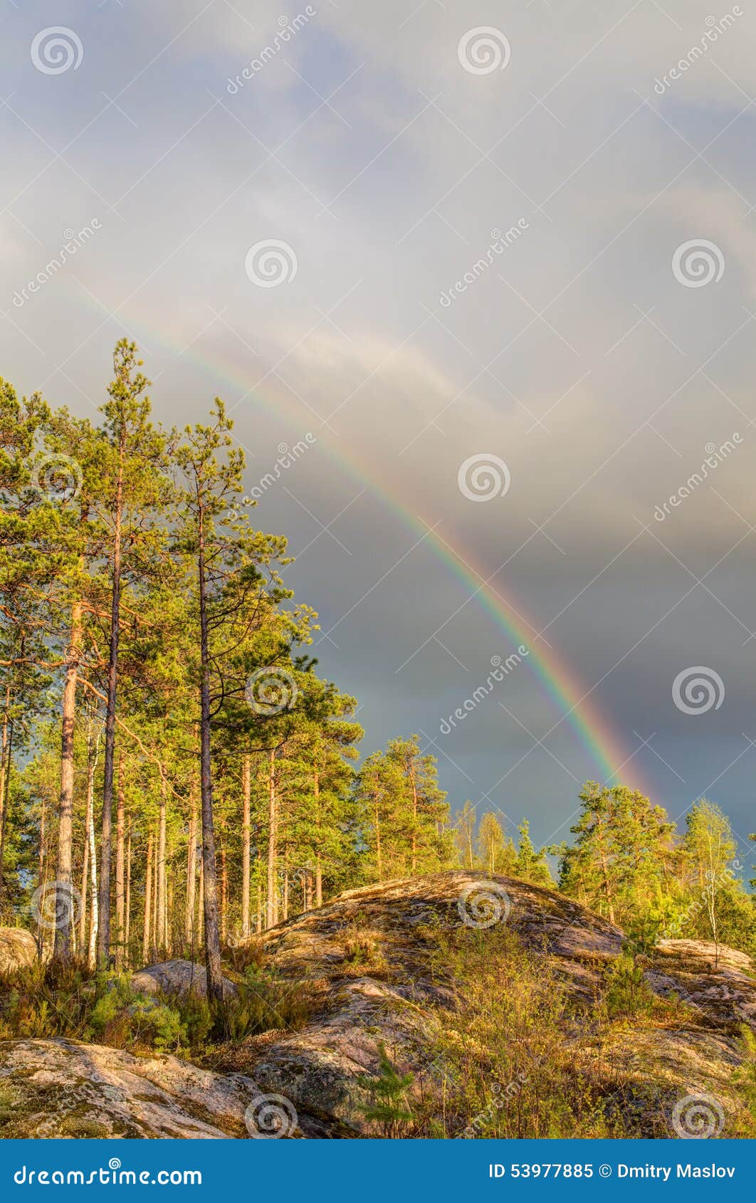 Rainbow over the forest stock image. Image of view, foliage - 53977885