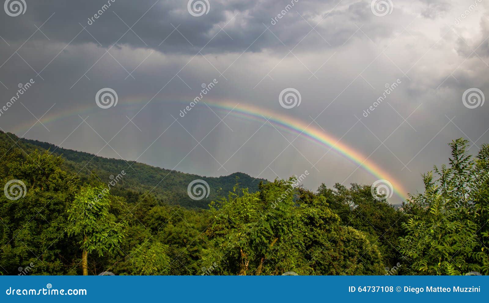 Rainbow over the forest stock photo. Image of nature - 64737108
