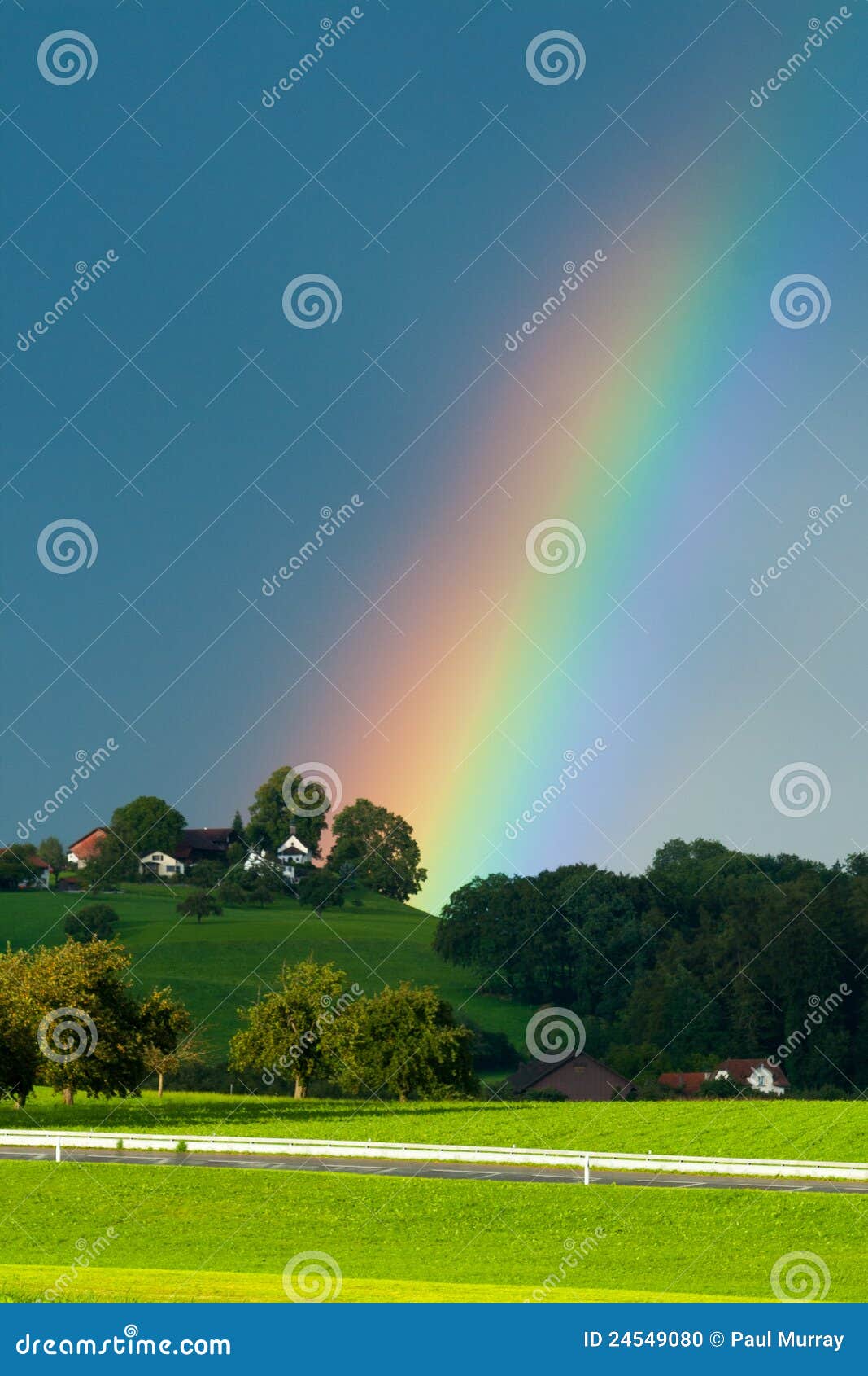 Rainbow over the forests stock photo. Image of light - 24549080
