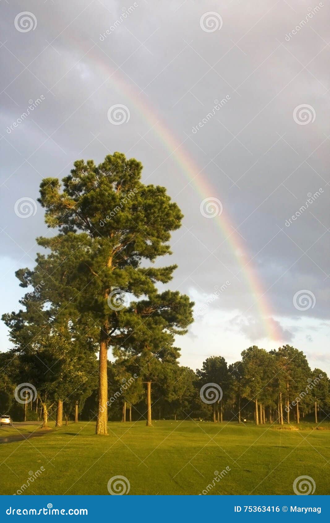 Rainbow Over the Golf Course. Stock Photo - Image of sunlight, evening ...