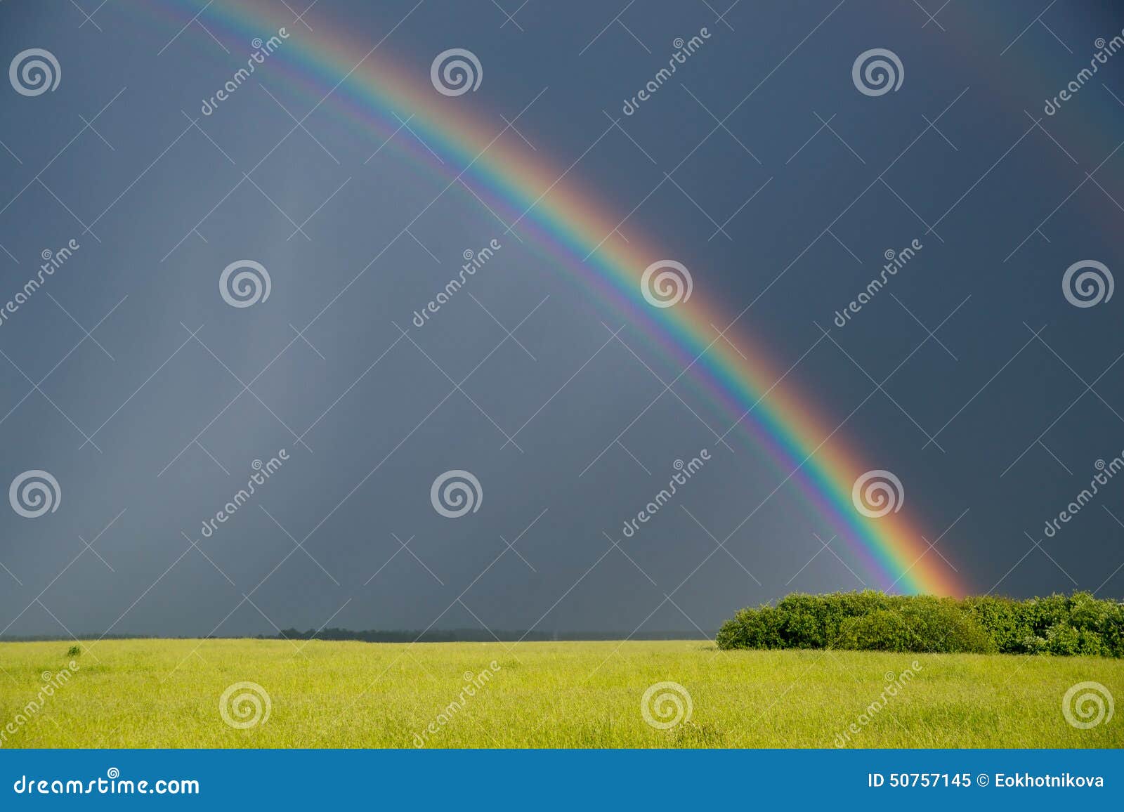 Rainbow over green field stock image. Image of nature - 50757145