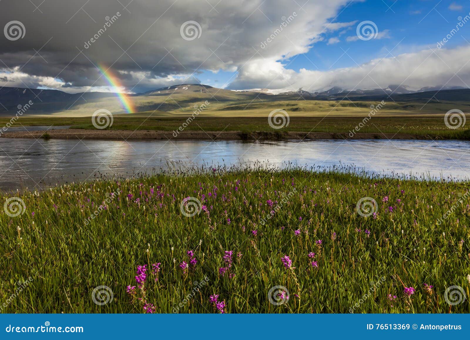 Rainbow Over the Green Flowering Meadow Stock Image - Image of forget ...