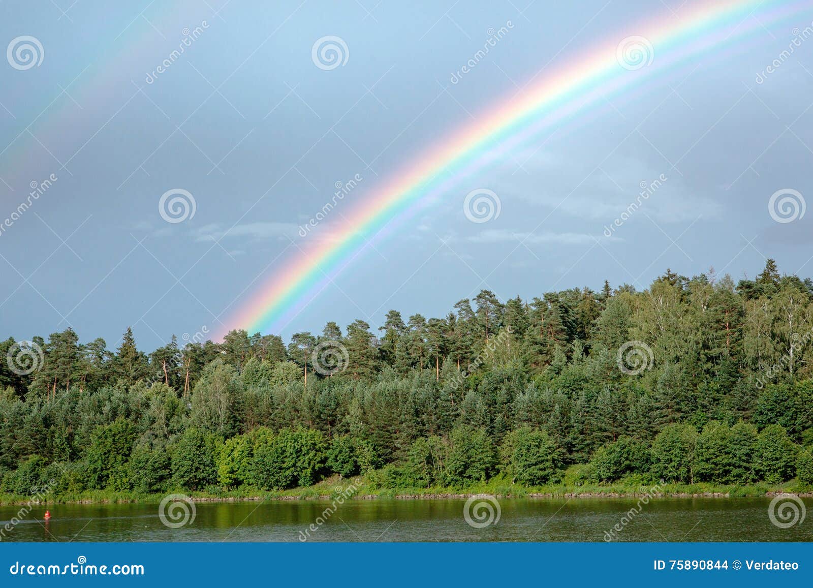 Rainbow over green trees stock photo. Image of summer - 75890844