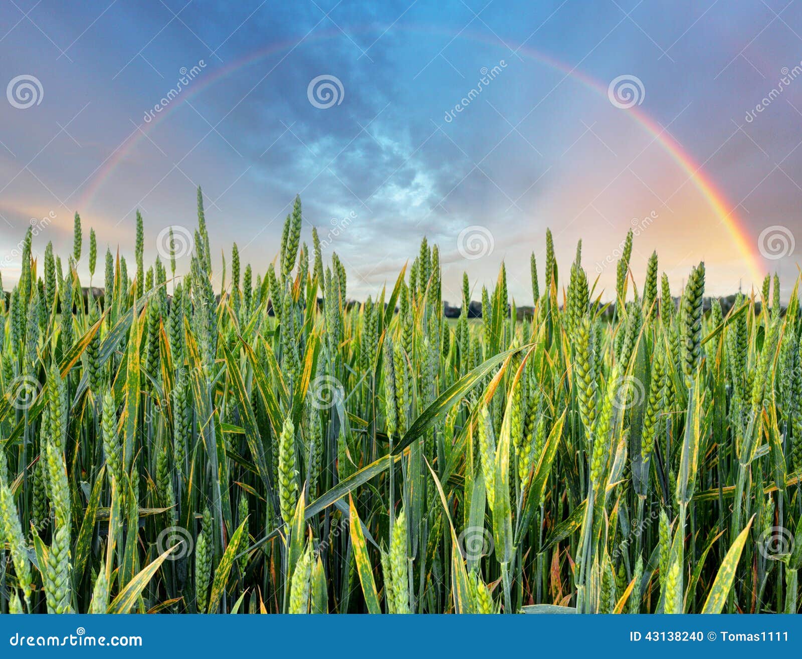 Rainbow Over Cataratas Del Iguazu Waterfall, Brazil Stock Photography ...