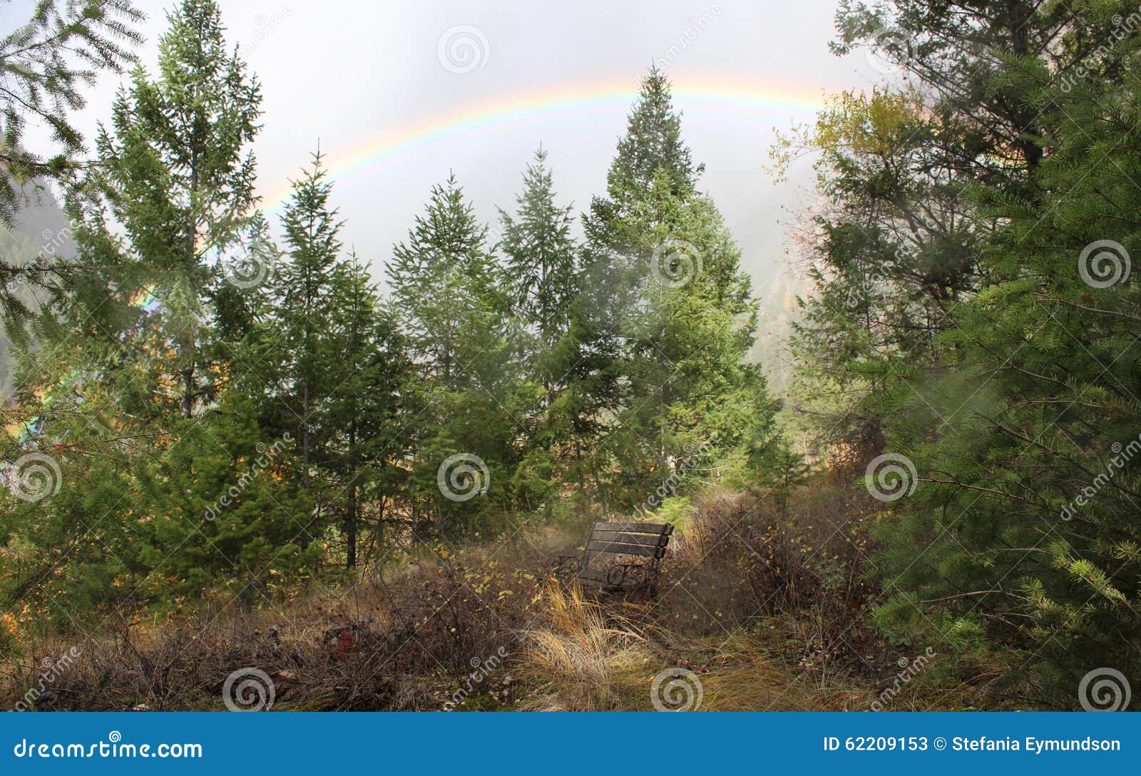 Rainbow Over Hedley Viewpoint Bench Stock Image - Image of rainbow ...