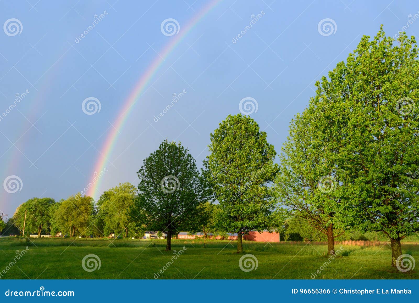 Rainbow Over a Line of Trees Stock Photo - Image of treeline, foliage ...