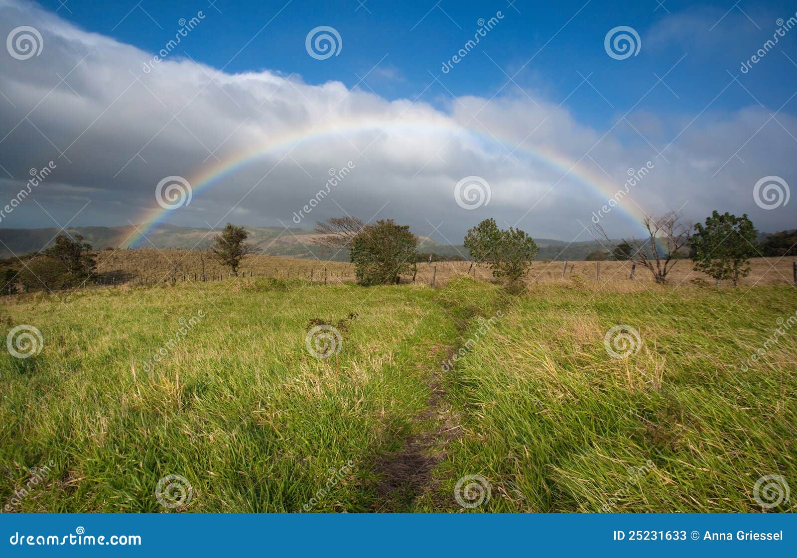 Rainbow Over Meadow stock image. Image of copyspace, muddy - 25231633