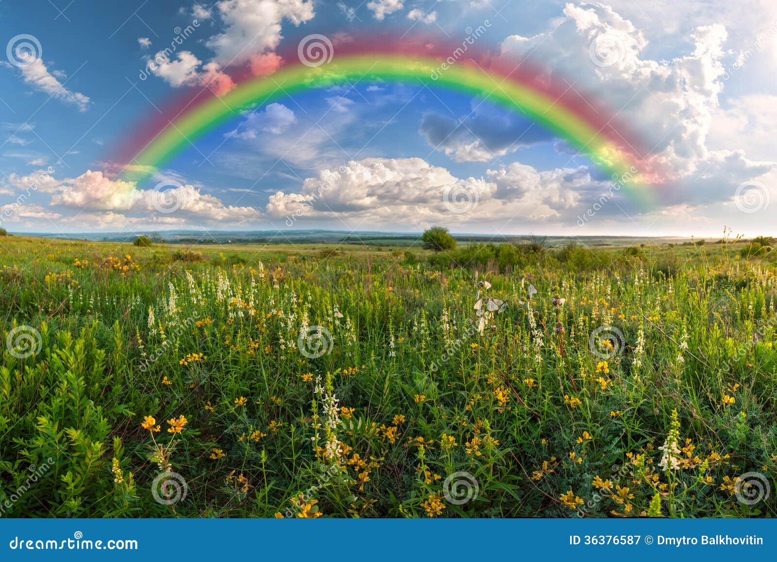 Rainbow over meadow stock image. Image of beautiful, farming - 36376587