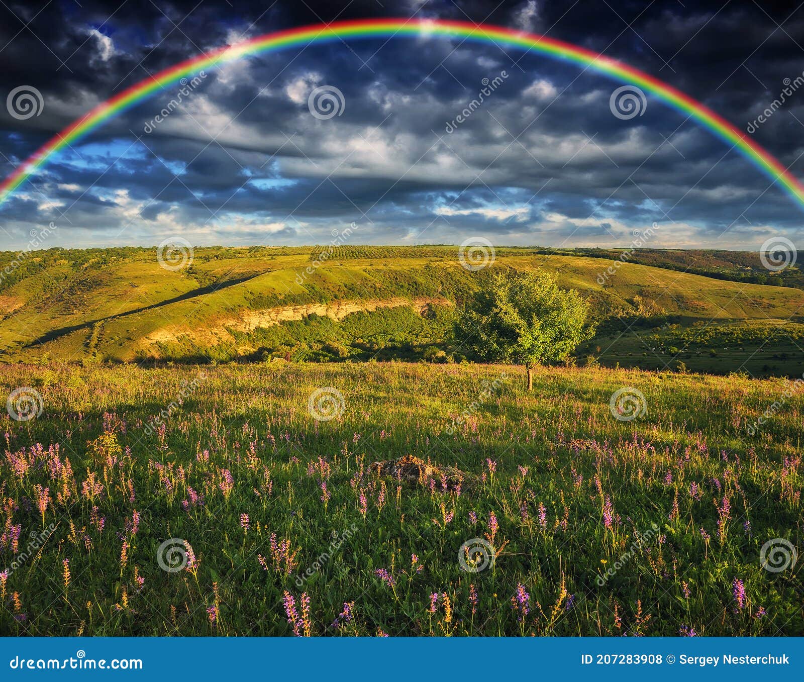 Rainbow Over a Meadow in the Spring Stock Photo - Image of cloudy ...