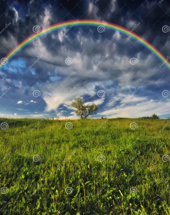 Rainbow Over a Meadow in the Spring Stock Photo - Image of people ...