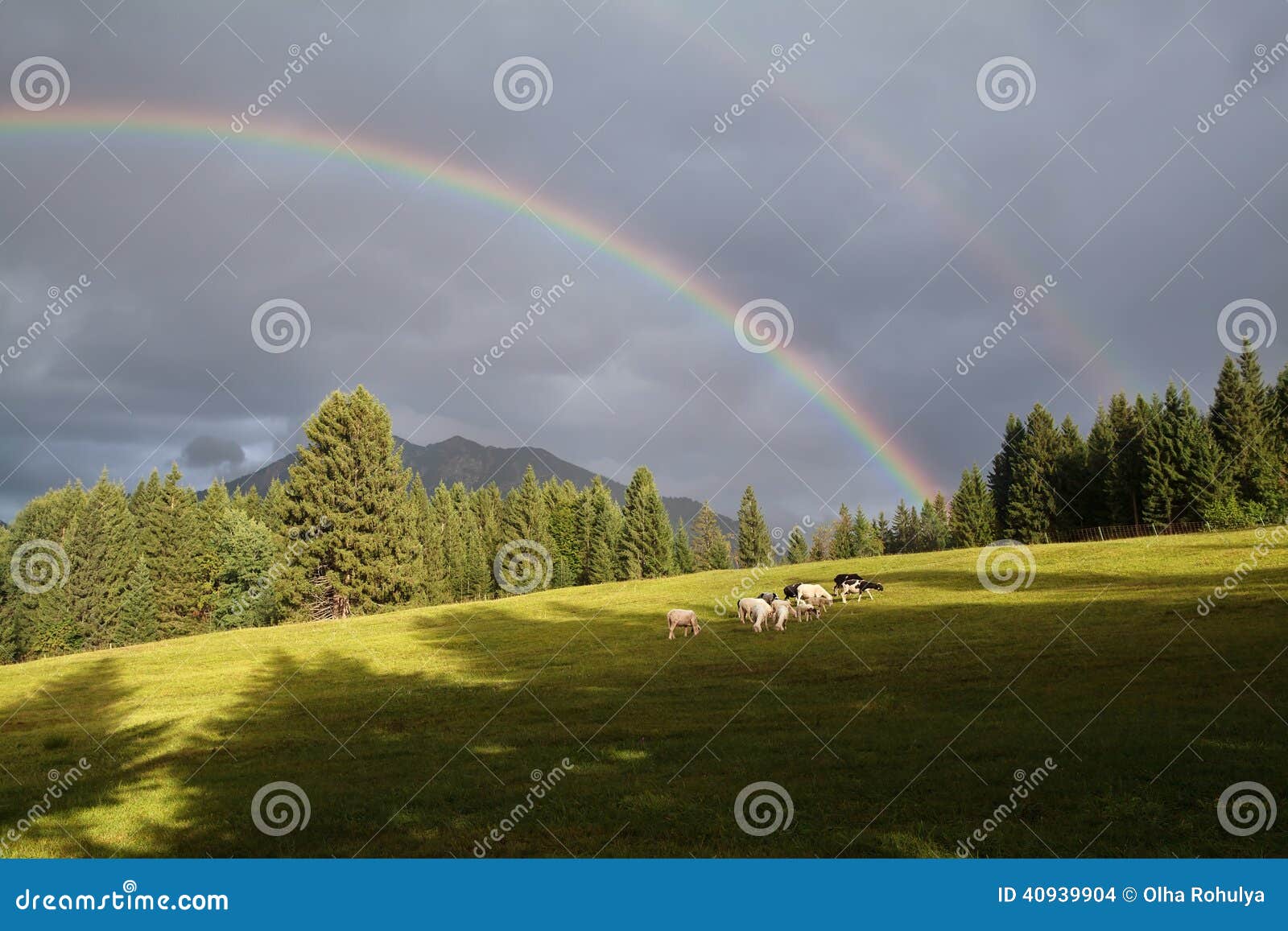 Rainbow Over Mountains and Alpine Pasture Stock Photo - Image of ...