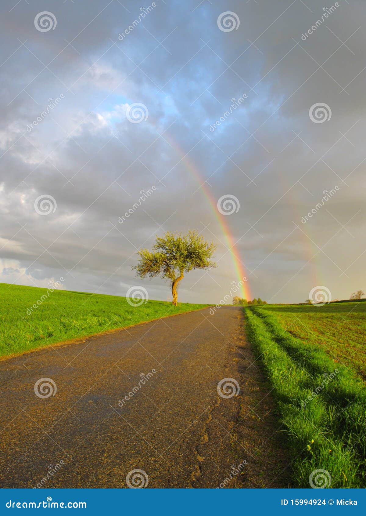 Rainbow over road stock photo. Image of amazing, field - 15994924