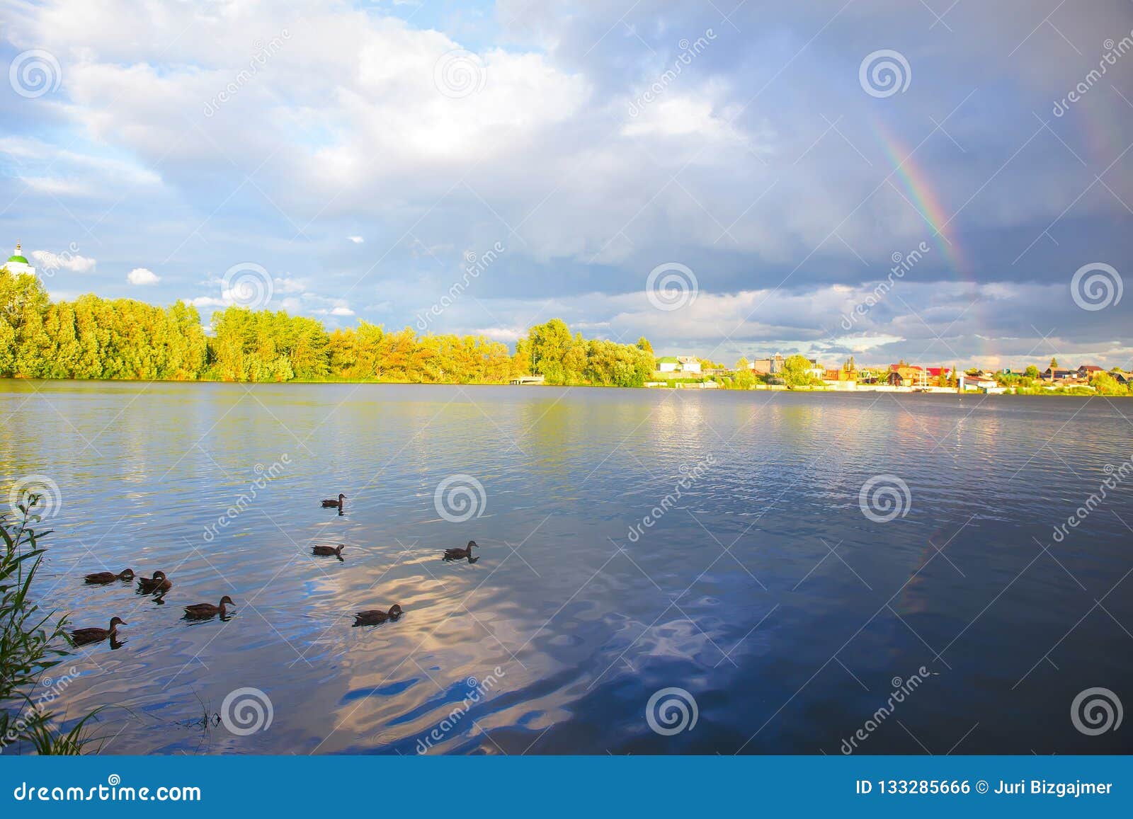 Lake with Ducks Under the Rainbow Stock Photo - Image of cloud, scene ...