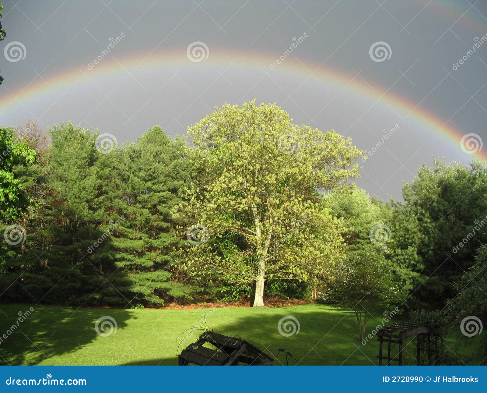 Rainbow over tree stock photo. Image of rainbow, yard - 2720990