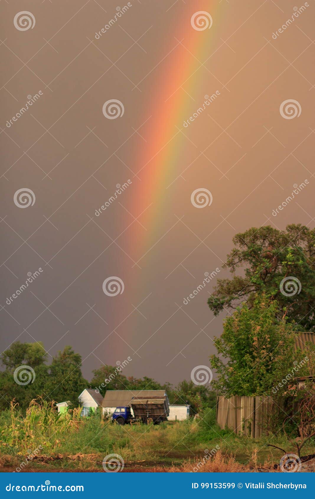 Rainbow over tree stock image. Image of beautiful, dark - 99153599