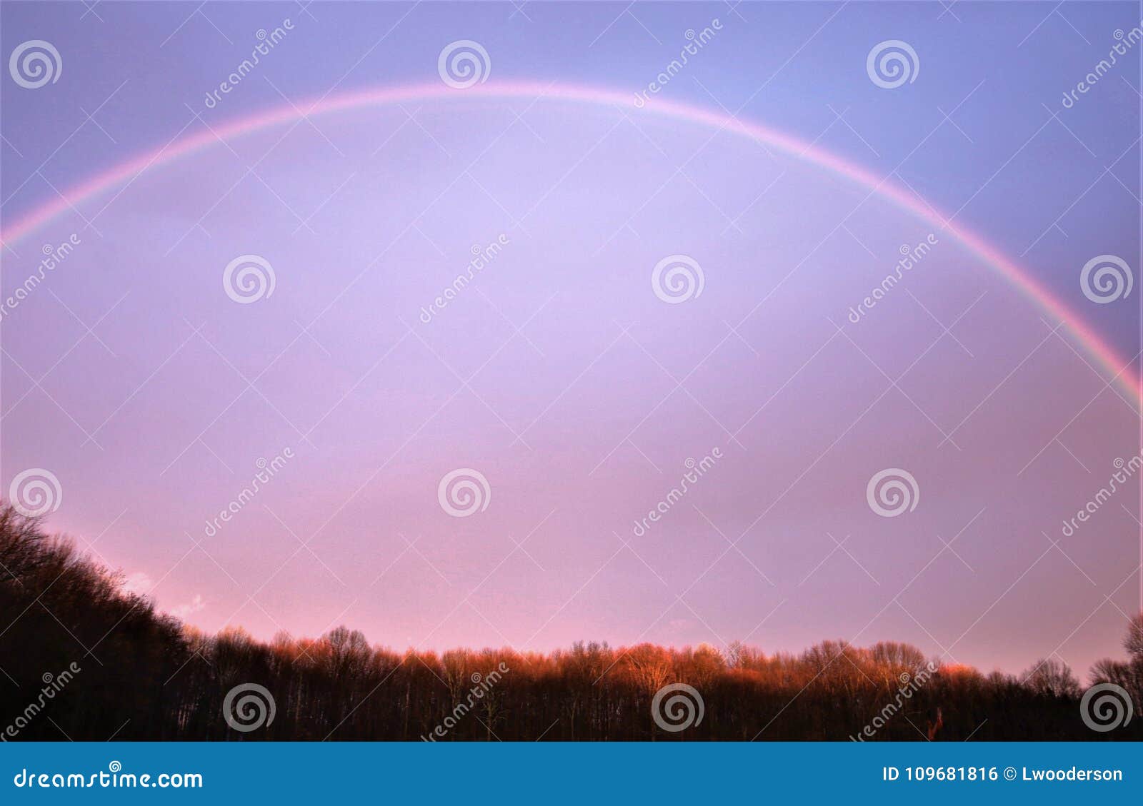 Rainbow Over Treeline in Afternoon Stock Photo - Image of silhouette ...