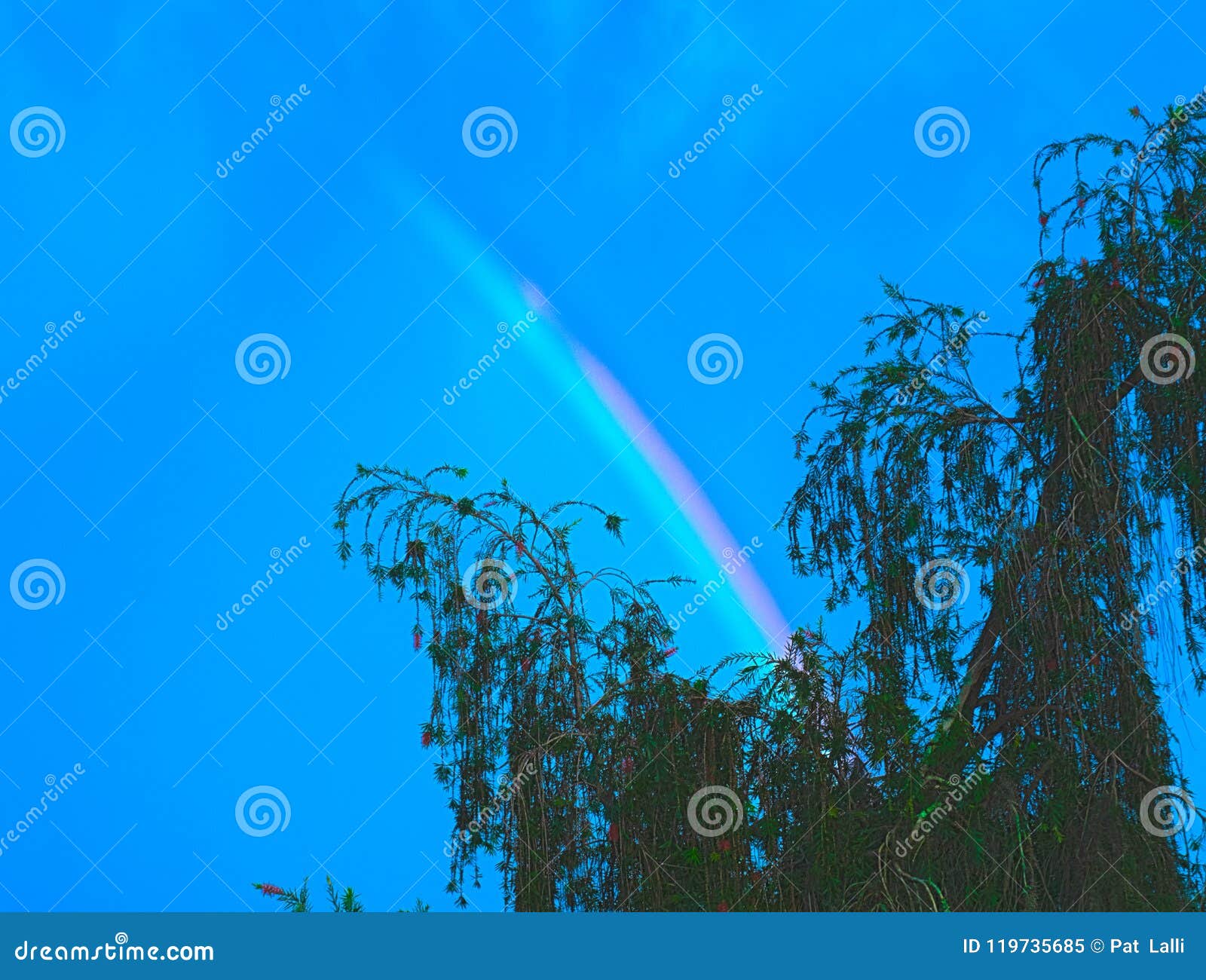 Rainbow over the trees 3 stock image. Image of beautiful - 119735685