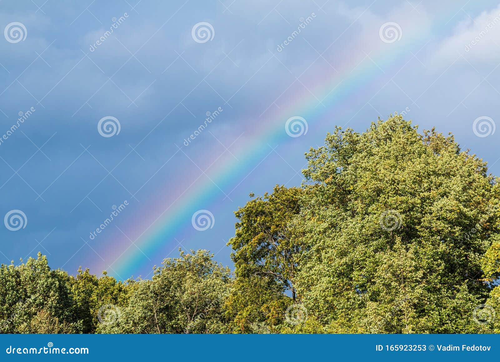 Rainbow over trees stock image. Image of park, thundercloud - 165923253