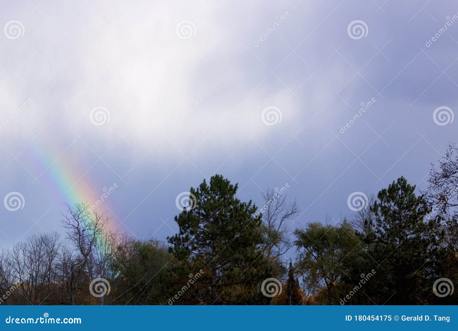 Rainbow over Trees 834881 stock image. Image of clouds - 180454175