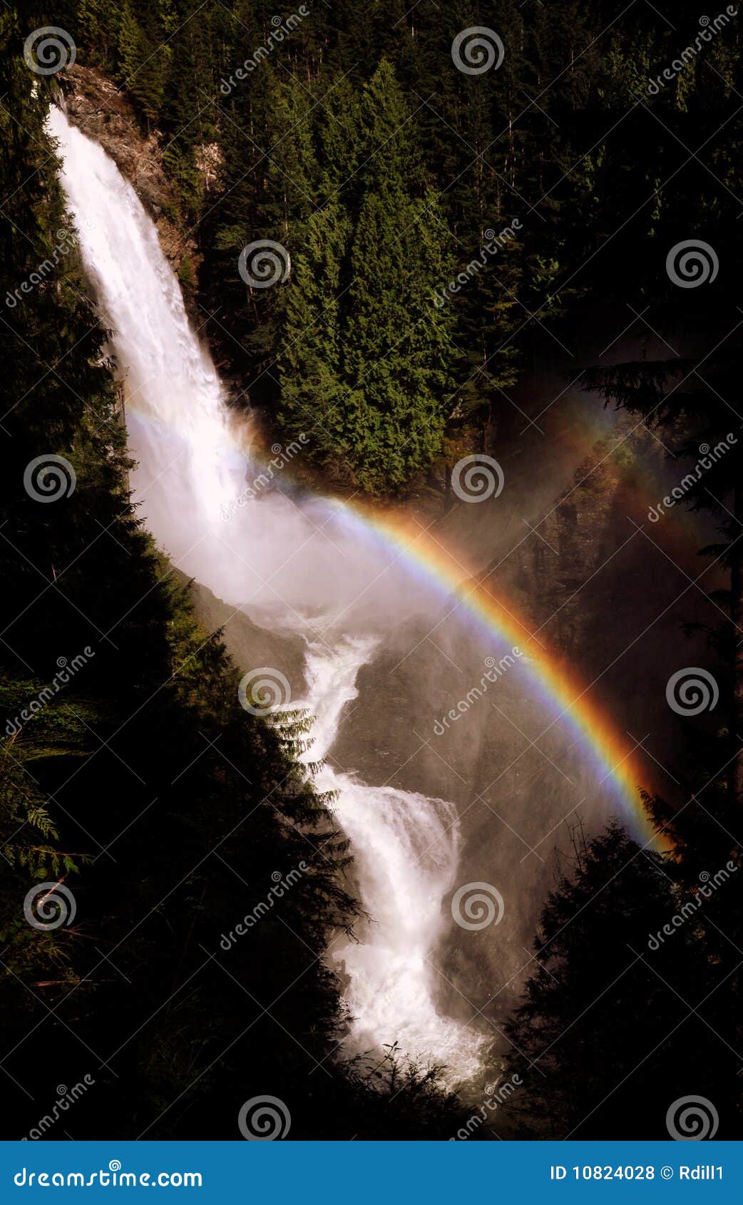 Rainbow over Waterfall stock photo. Image of green, tree - 10824028