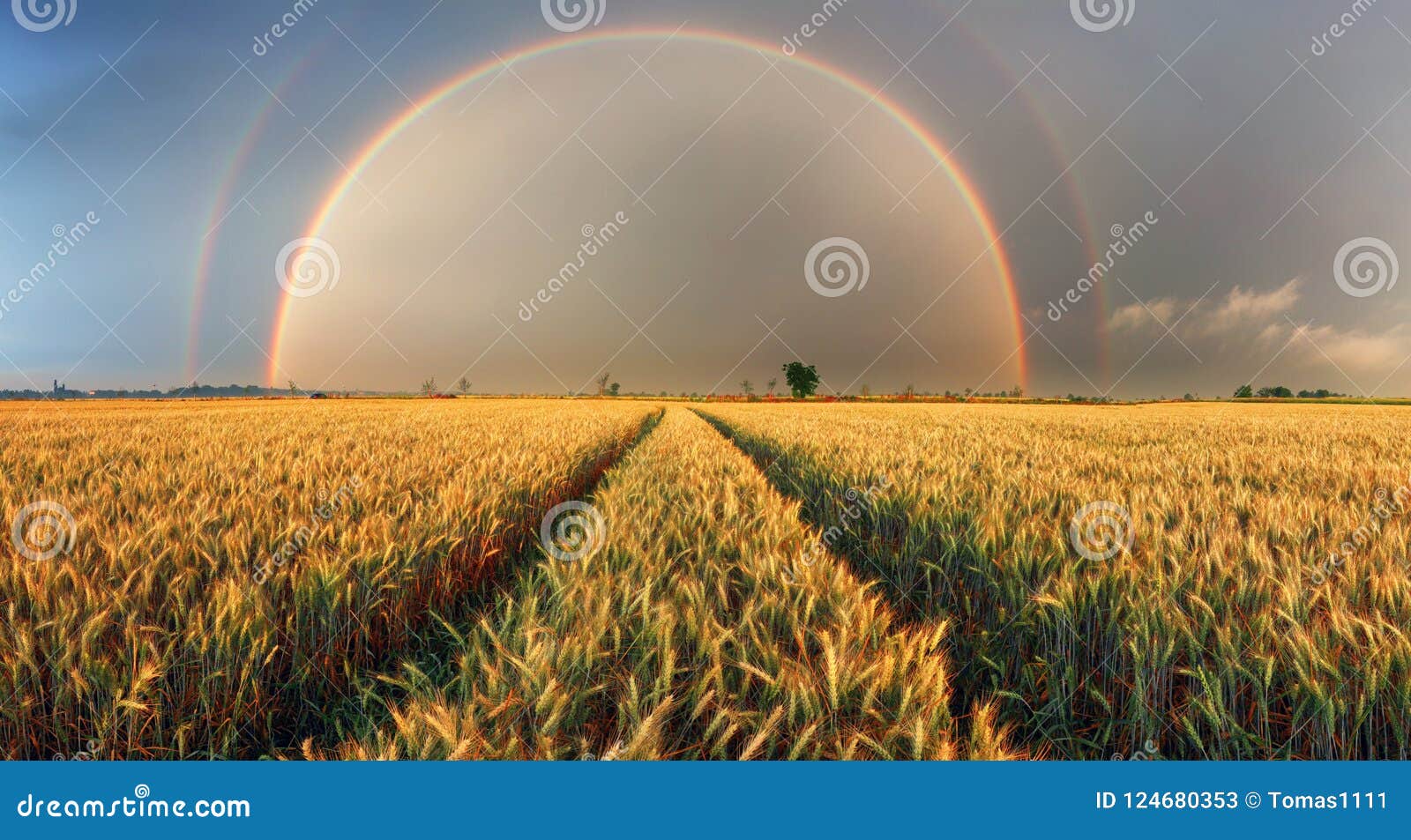 Rainbow Over Cataratas Del Iguazu Waterfall, Brazil Stock Photography ...