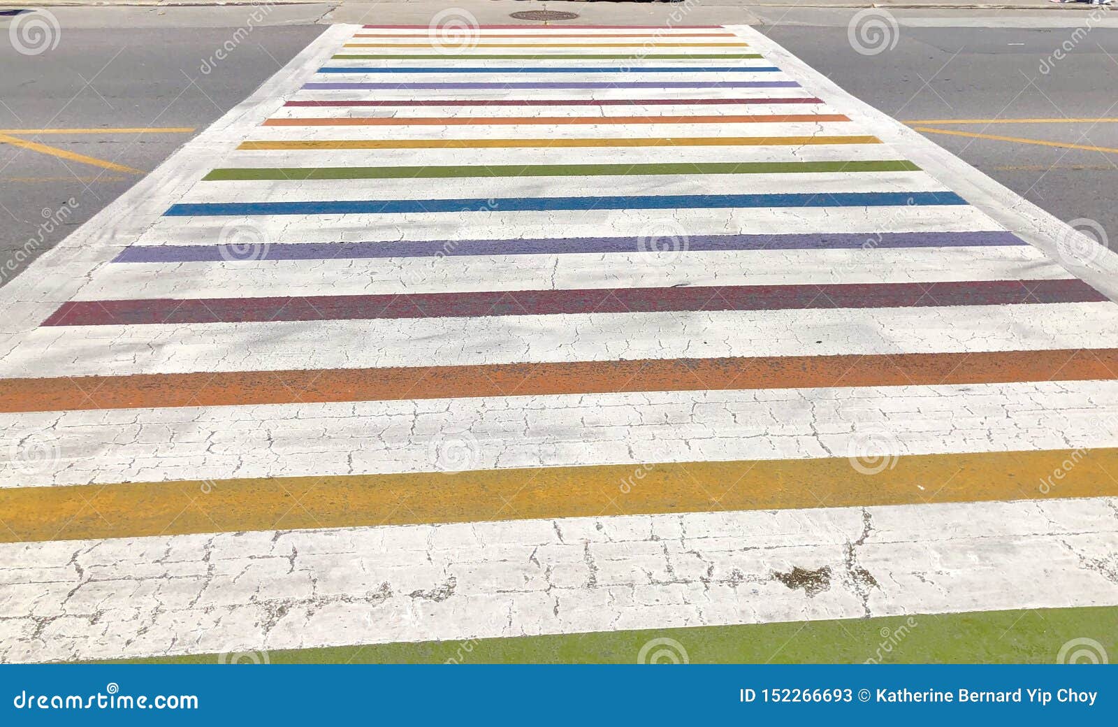 Rainbow Pride Crosswalk on the Road Stock Image - Image of lesbian ...