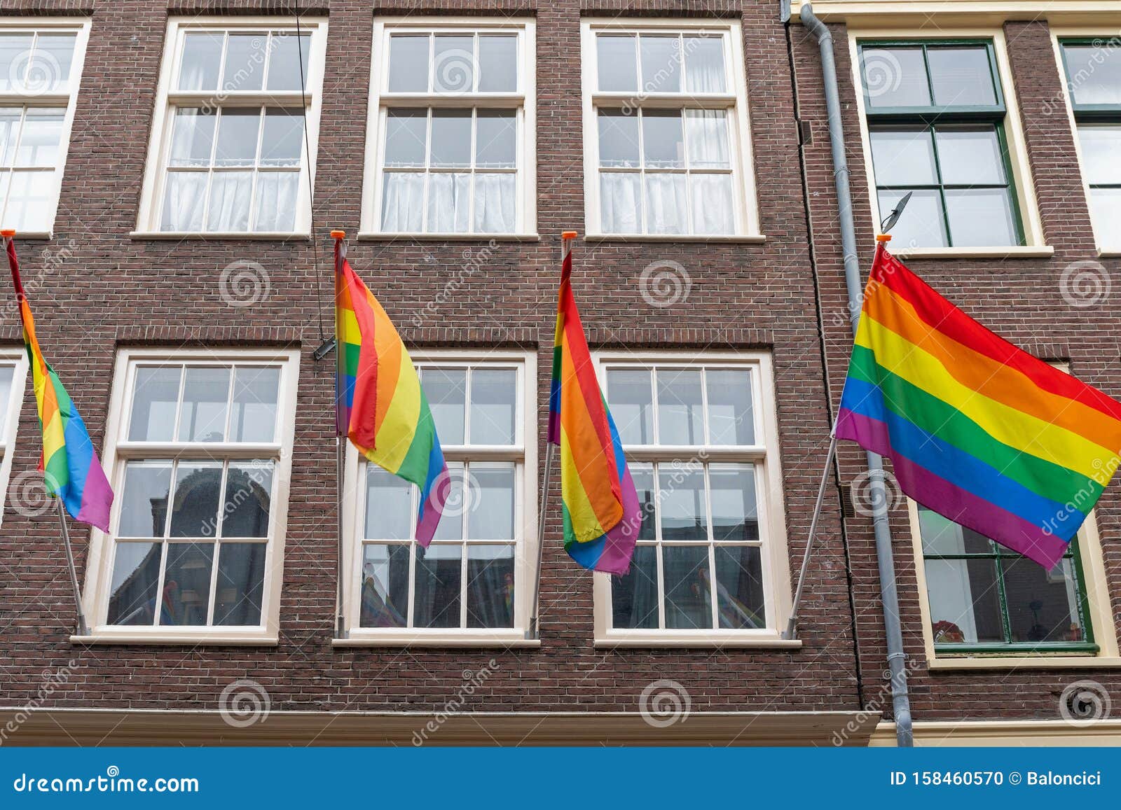 Rainbow Pride Flags stock photo. Image of rainbow, netherlands - 158460570