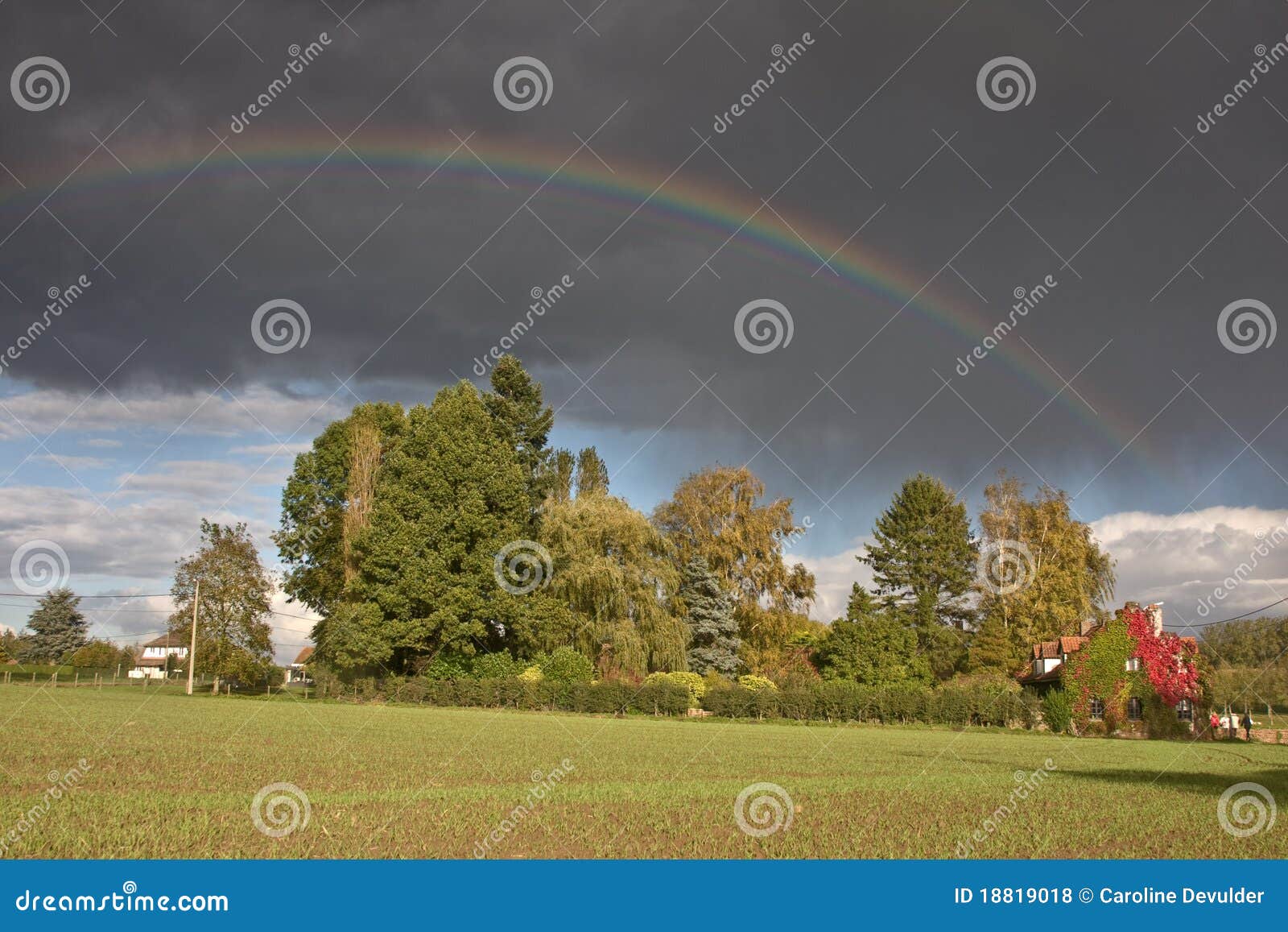 Rainbow and Rain Over a Field Stock Photo - Image of blue, rain: 18819018