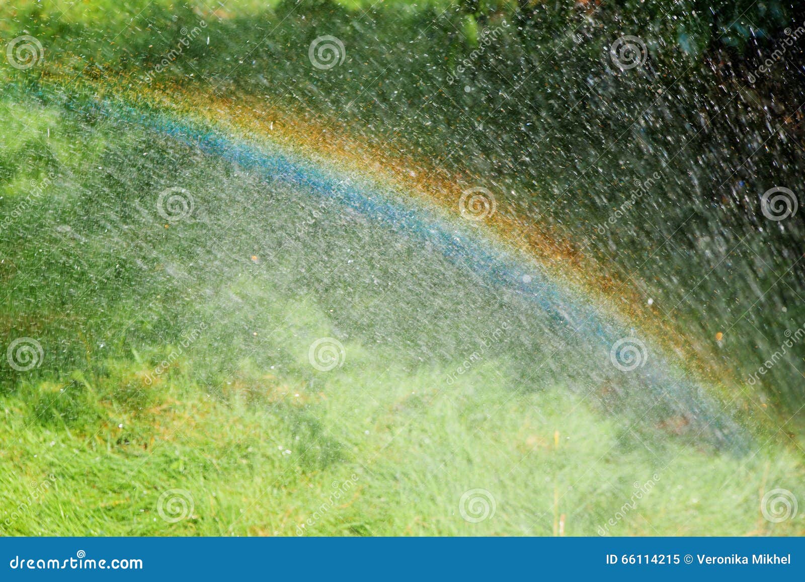 Rainbow with Rain in Spring Stock Image - Image of bright, agriculture ...