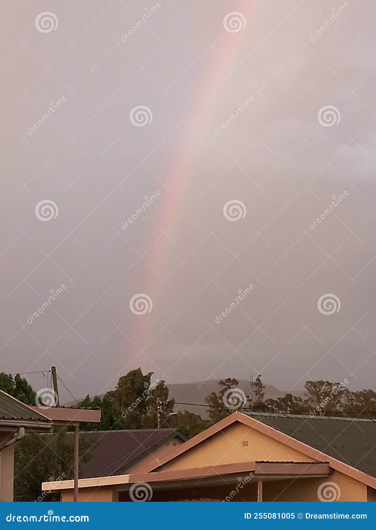 Rainbow after Rain on a Sunny Day Weather Stock Image - Image of rain ...