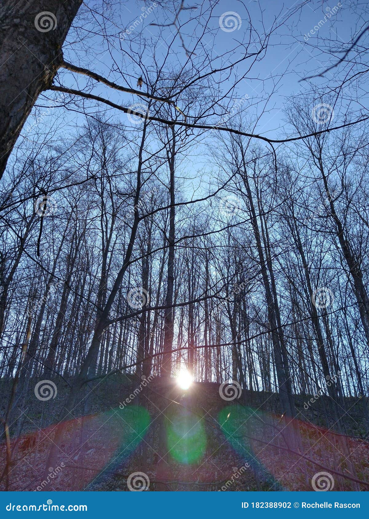 Rainbow Rays Of Sun. Natural Diffraction, Dispersion. Resulting In ...