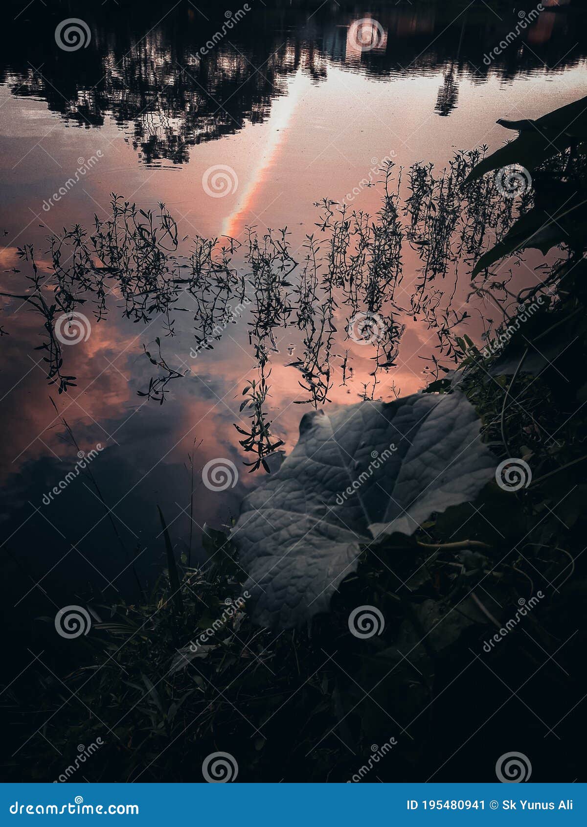 Rainbow Reflection in Water Stock Image - Image of scenery, nature ...