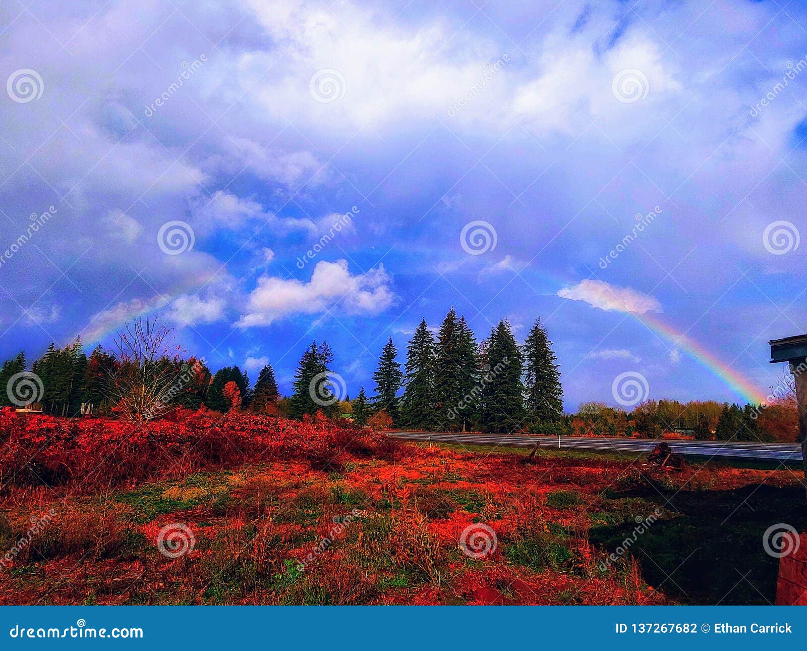 Rainbow Road stock photo. Image of oregon, rainbow, sandy - 137267682