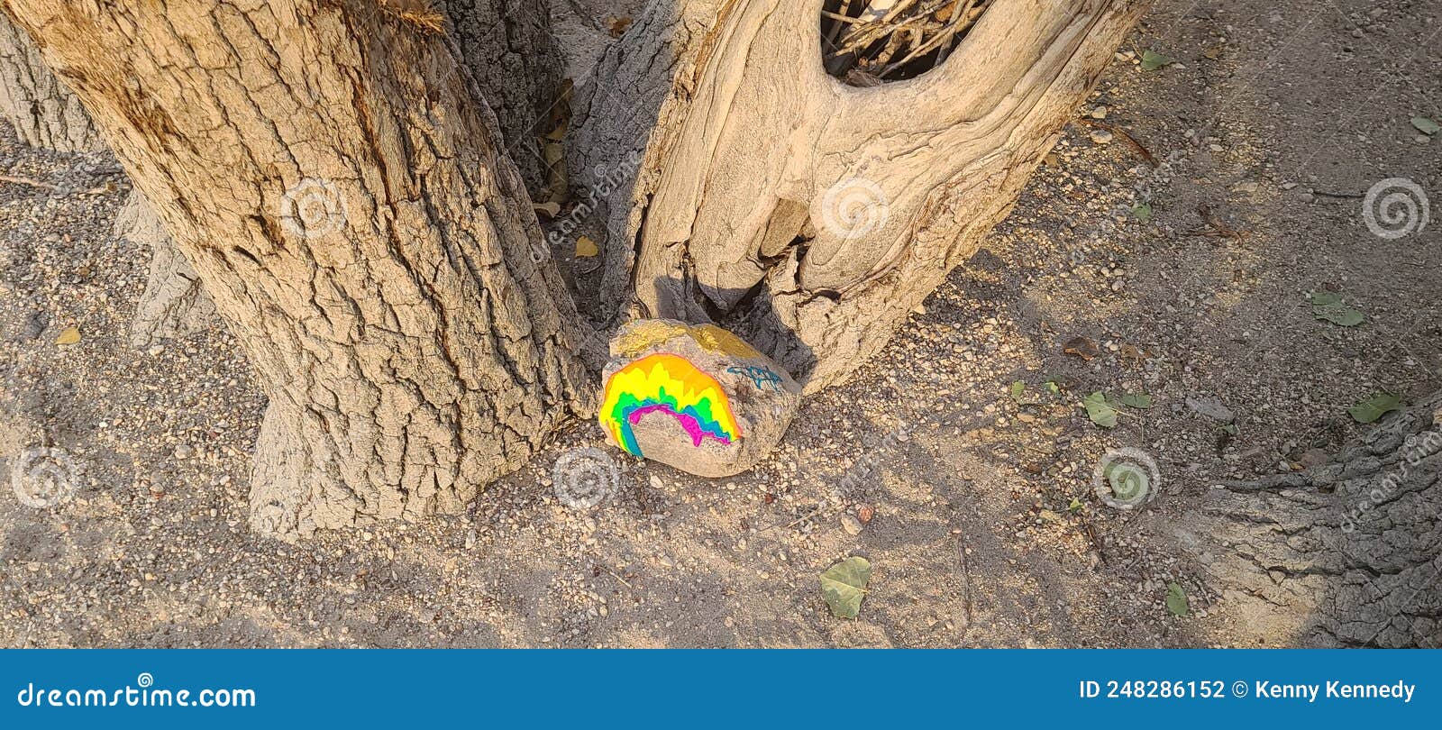 Rainbow Rock by the Trees Facing West Stock Photo - Image of animal ...